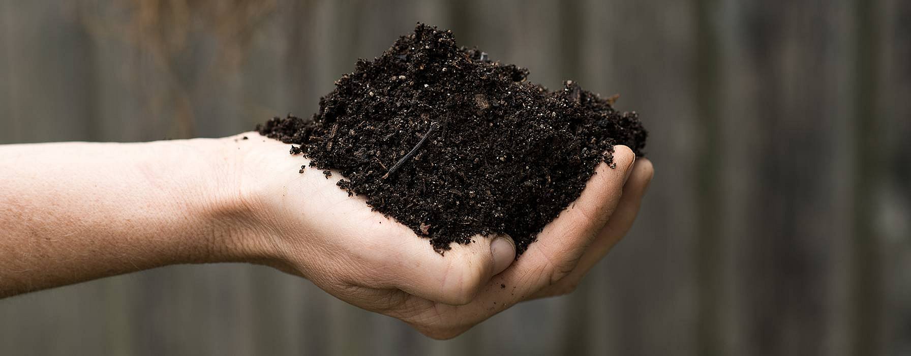 Why humus keeps the soil healthy - Weleda